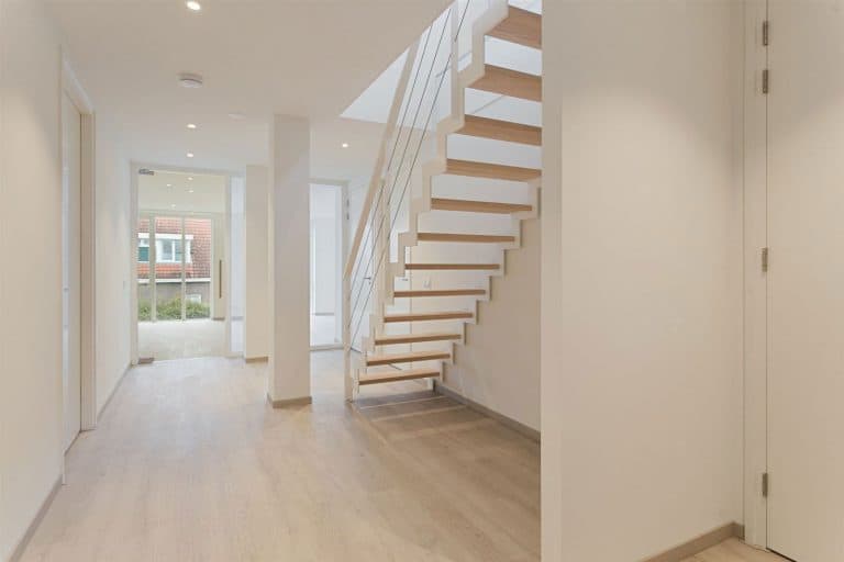 De Mooiste Muizenboomtrappen van NL + BE - Al 25 jaar